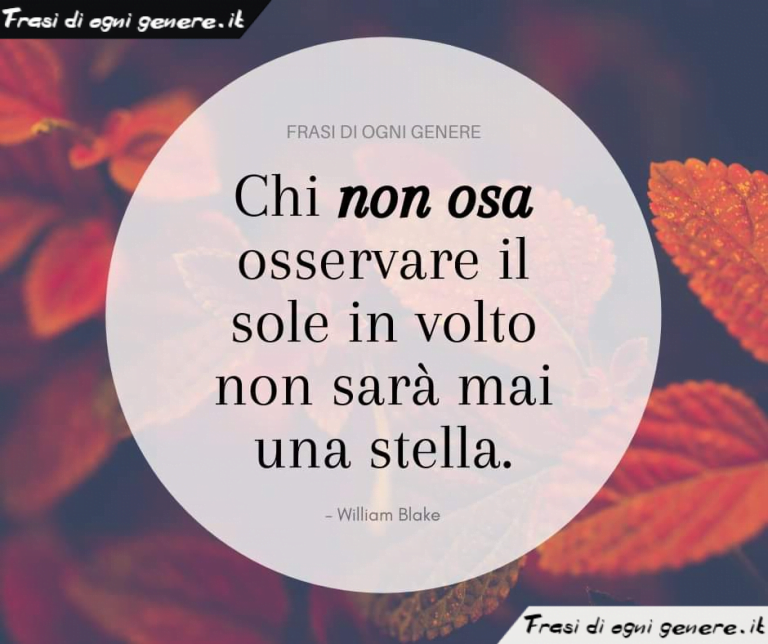 "Chi non osa osservare il sole in volto non sarà mai una stella ...